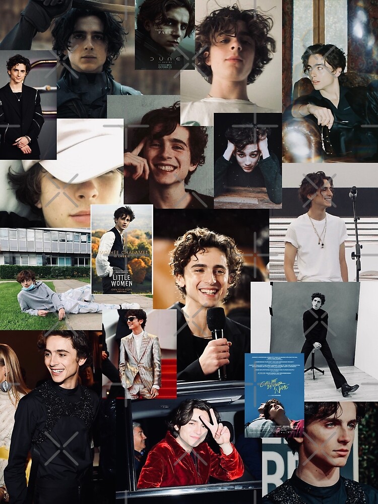 Timothee Chalamet collage 2021 Premium Matte Vertical Poster sold by ...