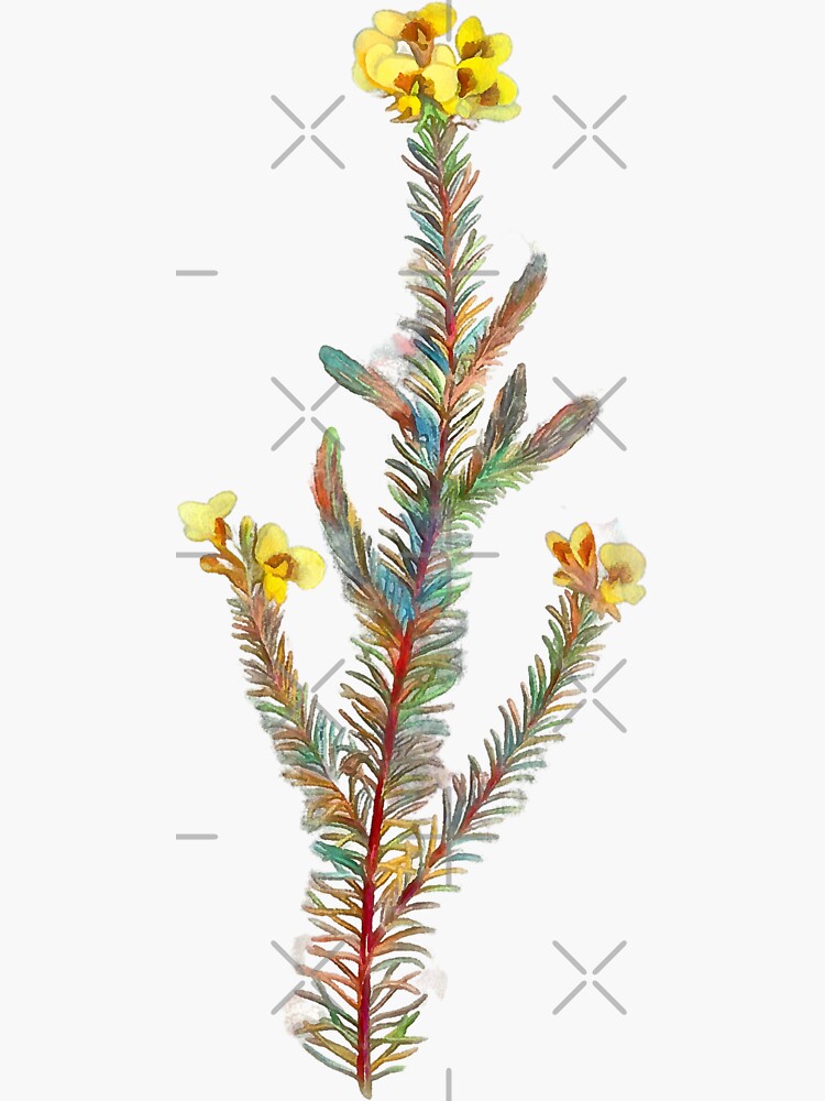 "Smooth Parrot–Pea" Sticker for Sale by Casiel31 | Redbubble