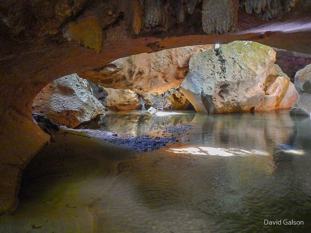"Caves Branch River, Belize" by David Galson | Redbubble