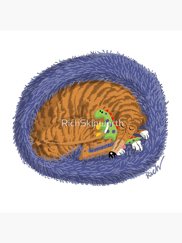 "Snoozin' with a Dinosaur" Art Board Print for Sale by RichSkipworth ...