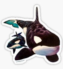 Orca Stickers | Redbubble