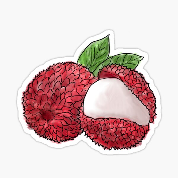 "Lychee Graphic" Sticker for Sale by artbykojpg | Redbubble