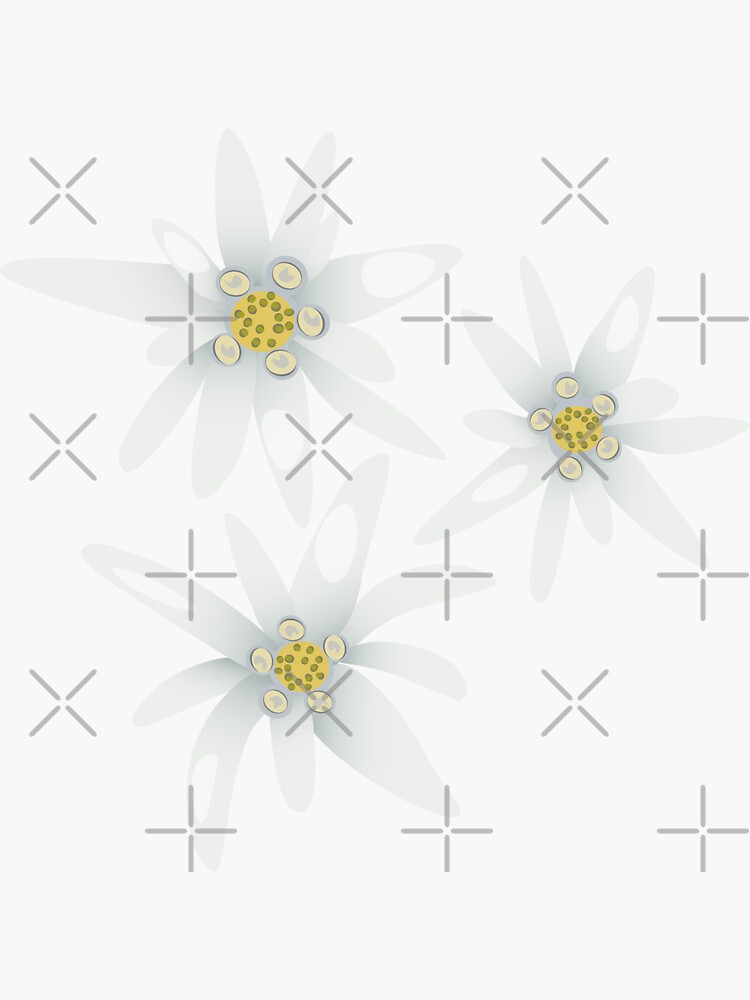 "Edelweiss flowers" Sticker for Sale by Elysianofficial | Redbubble