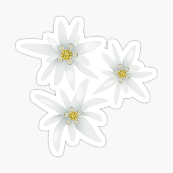 "Edelweiss flowers" Sticker for Sale by Elysianofficial | Redbubble