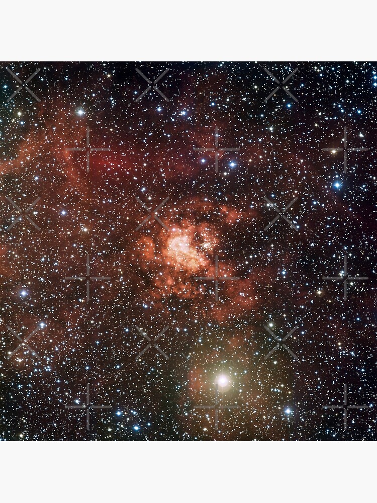 "Nebula Gum 29 (RCW 49) - Wide-field view (constellation of Carina ...