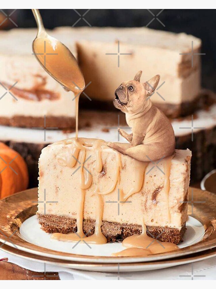 "Frenchie Cheese Cake " Sticker for Sale by toppopin | Redbubble