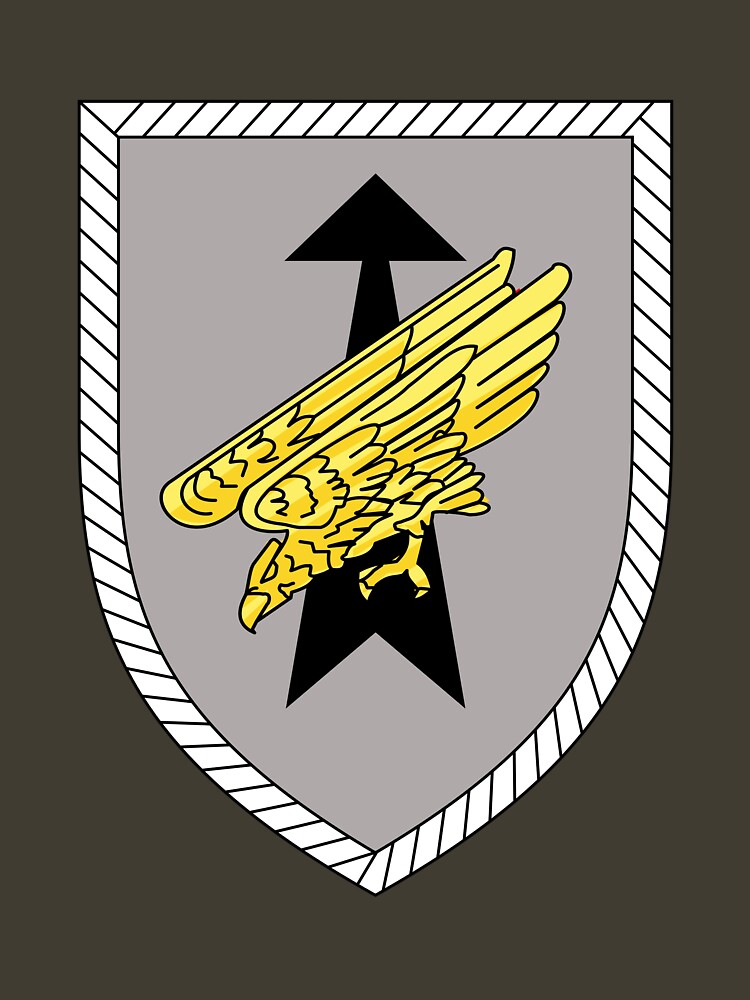 "Division Schnelle Kräfte - Rapid Forces Division - German Army" T ...