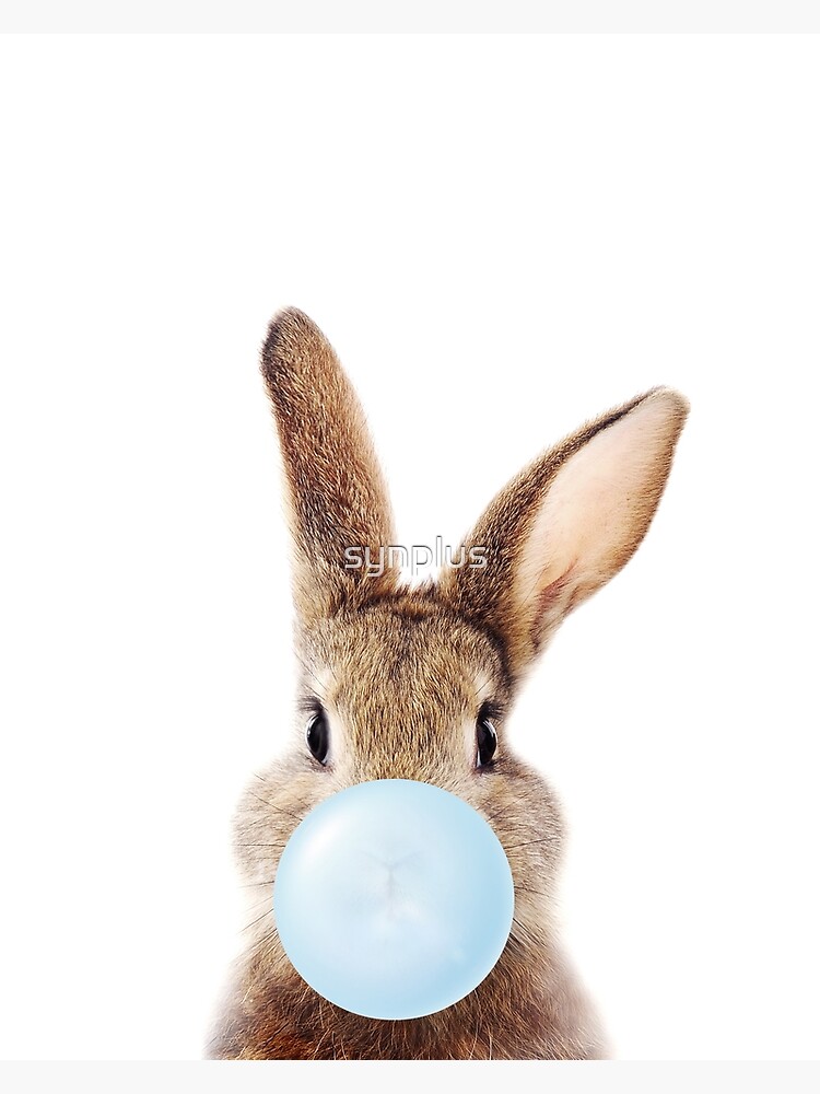 "Baby Rabbit, Brown Bunny Blowing Blue Bubblegum, Baby Boy, Kids ...