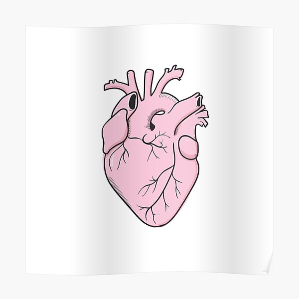 "Aesthetic Anatomical Heart" Poster for Sale by Reoryta | Redbubble