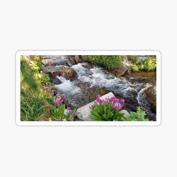 "Wildflower Cascade" Sticker for Sale by briankphoto | Redbubble