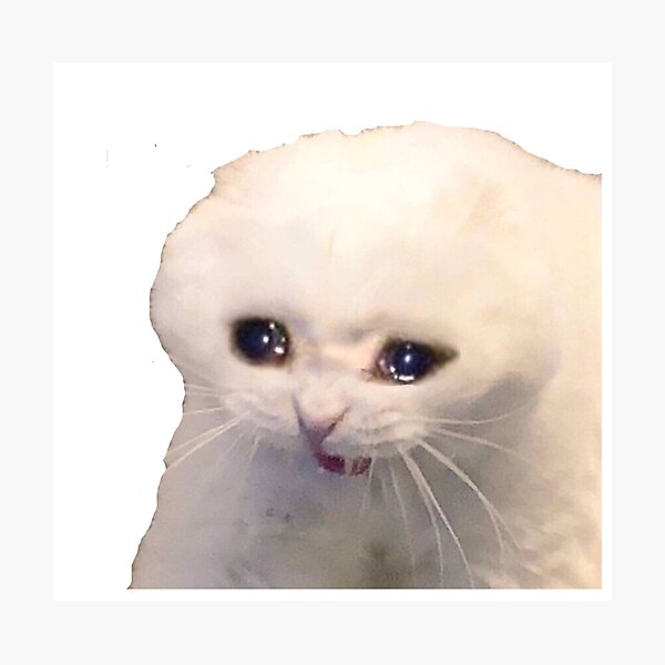 "Crying Cat Meme" Photographic Print for Sale by masoncarr2244 | Redbubble