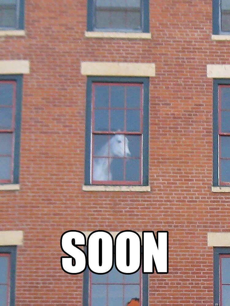 I built my own skyview tower!! : r/tearsofthekingdom