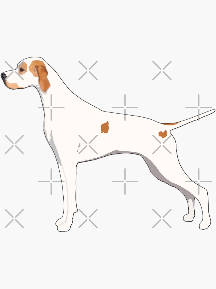 "Realistic English pointer orange and white silhouette" Sticker for ...