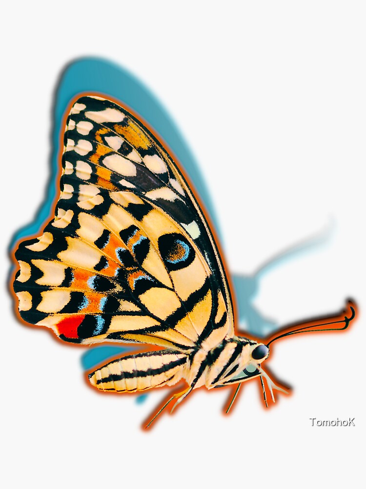 "Vivid Neon Bugs Butterfly" Sticker for Sale by TomohoK | Redbubble