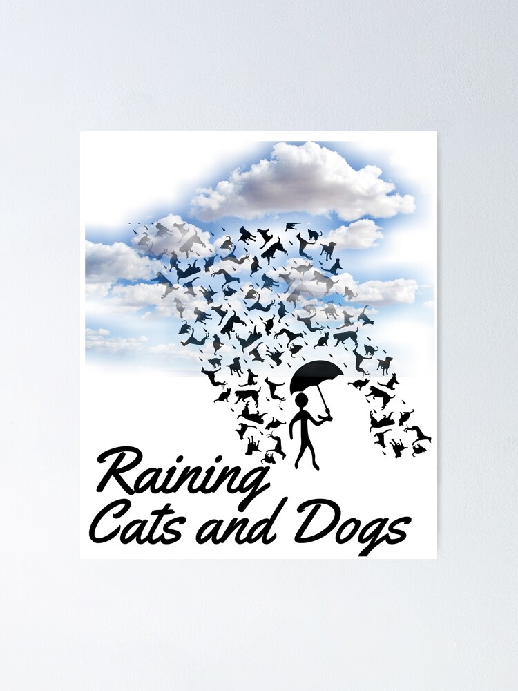 "Raining Cats and Dogs" Poster by Delightful-Home | Redbubble