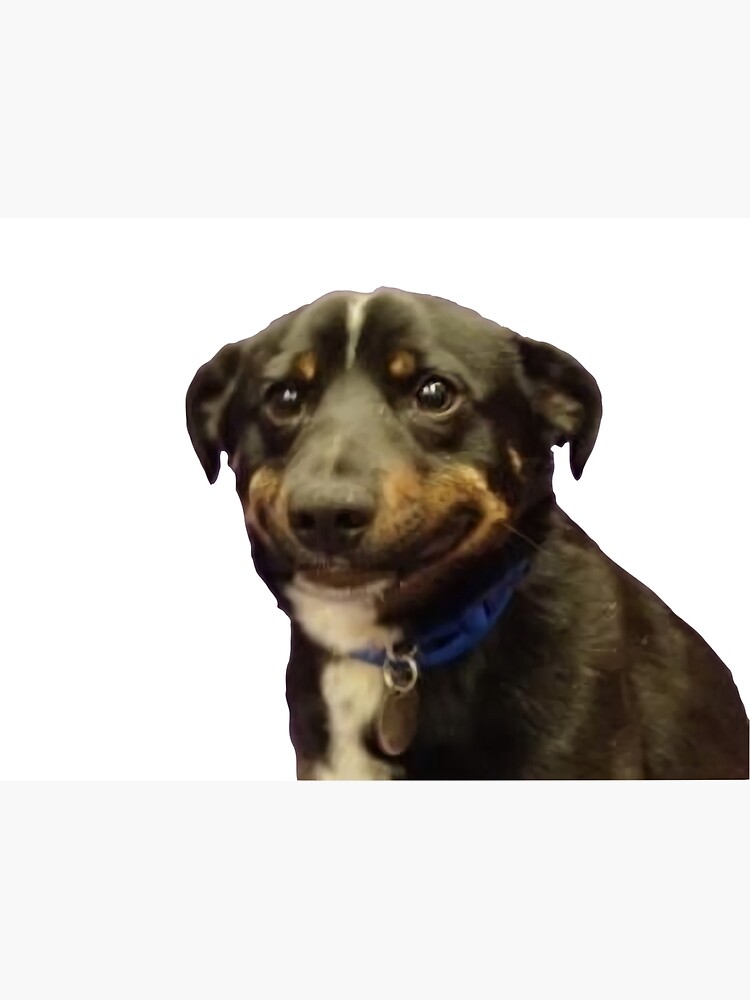 "Awkward Smiling Dog Meme" Poster for Sale by masoncarr2244 | Redbubble