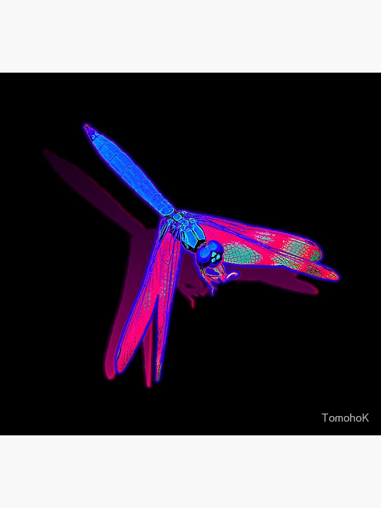 Lámina fotográfica « Libélula de neón eléctrica de TomohoK» de TomohoK ...