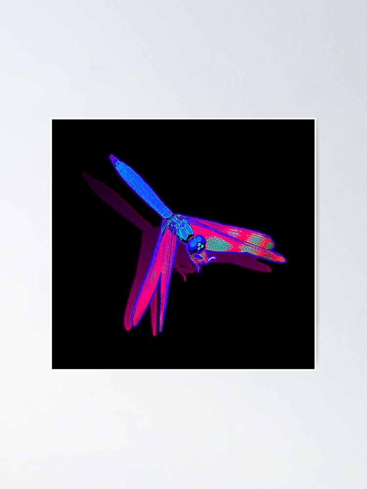 Poster « Libellule Néon Électrique par TomohoK », par TomohoK | Redbubble
