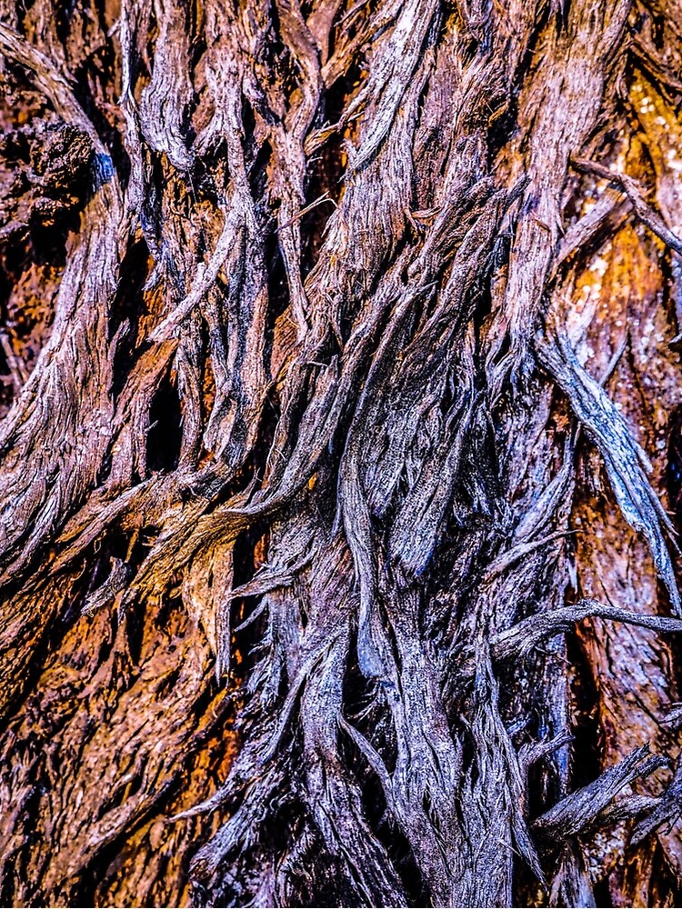 "Australian Tree Bark Series #31" Poster for Sale by Moments-In-Time ...