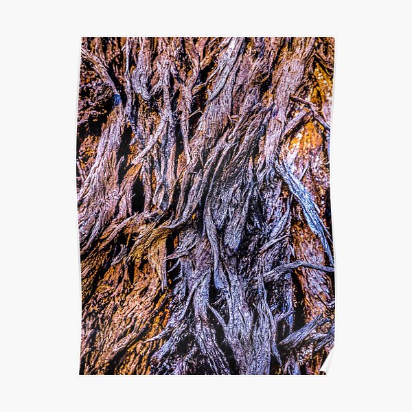 "Australian Tree Bark Series #31" Poster for Sale by Moments-In-Time ...