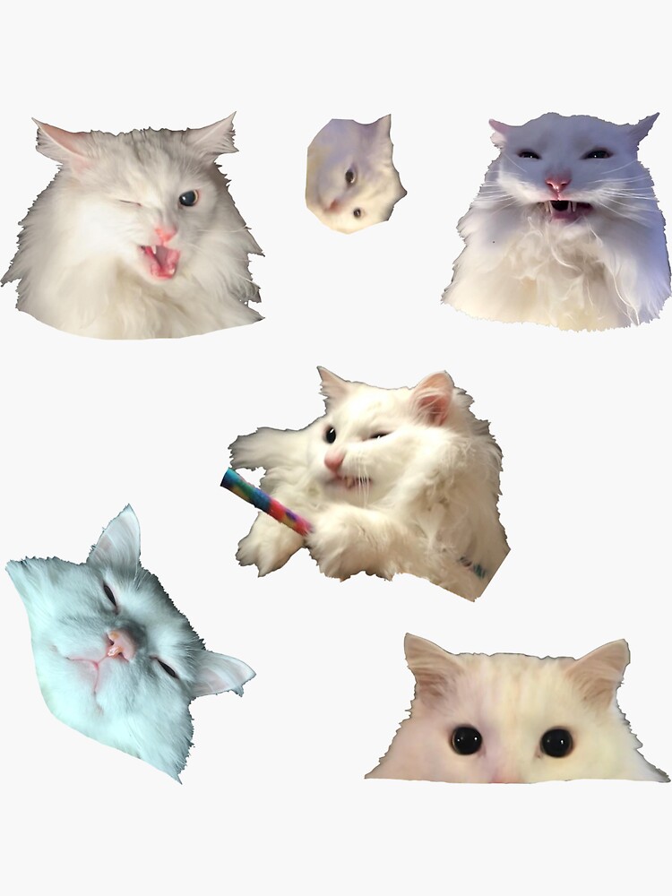 "Stumpy Faces! The Thurston Cat Derp Collection" Sticker for Sale by ...