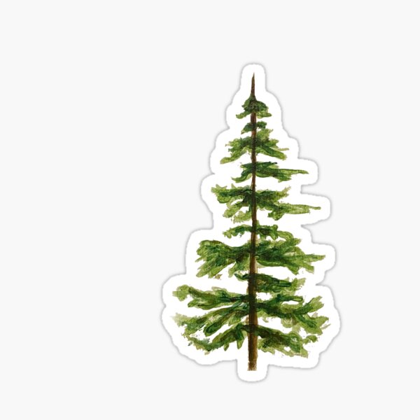 "evergreen tree" Sticker for Sale by EllieSteinbach | Redbubble