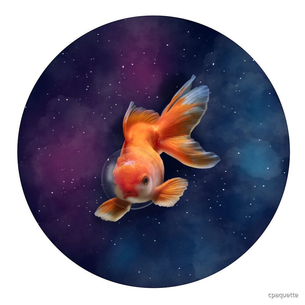 "Goldfish Swimming in the Starry Galaxy | Fish in Outer Space | Digital ...