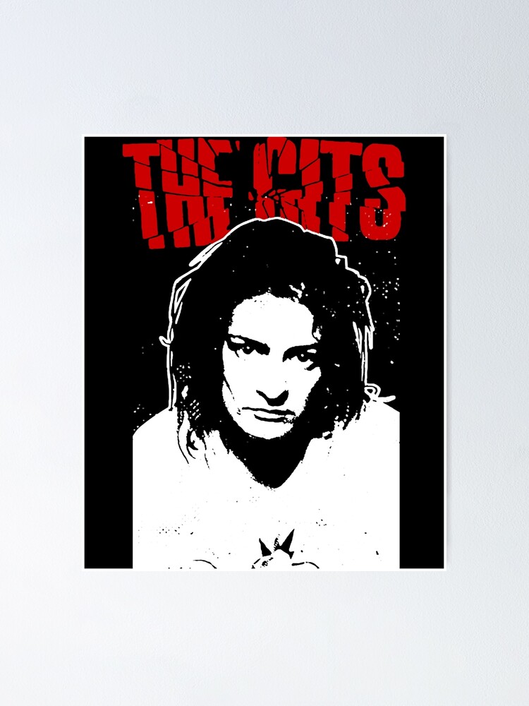 "the gits " Poster by Nicholsoneo39 | Redbubble