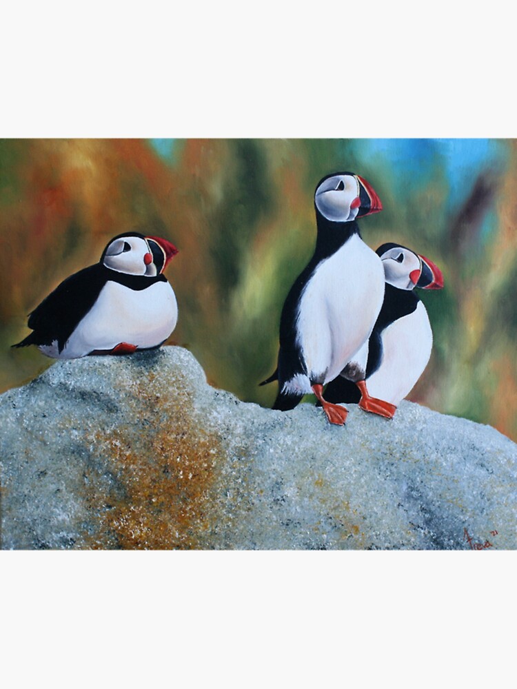 "Puffin oil painting " Sticker for Sale by MorimoraWall | Redbubble