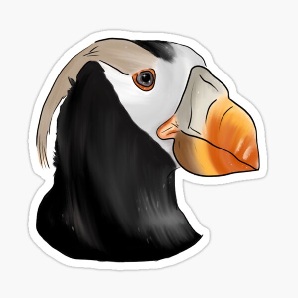 "Puffins Rock! " Sticker for Sale by MorimoraWall | Redbubble