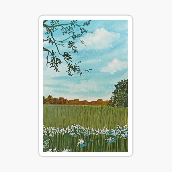 "Blue Sky and Green Grass" Sticker by Canvases-lenses | Redbubble