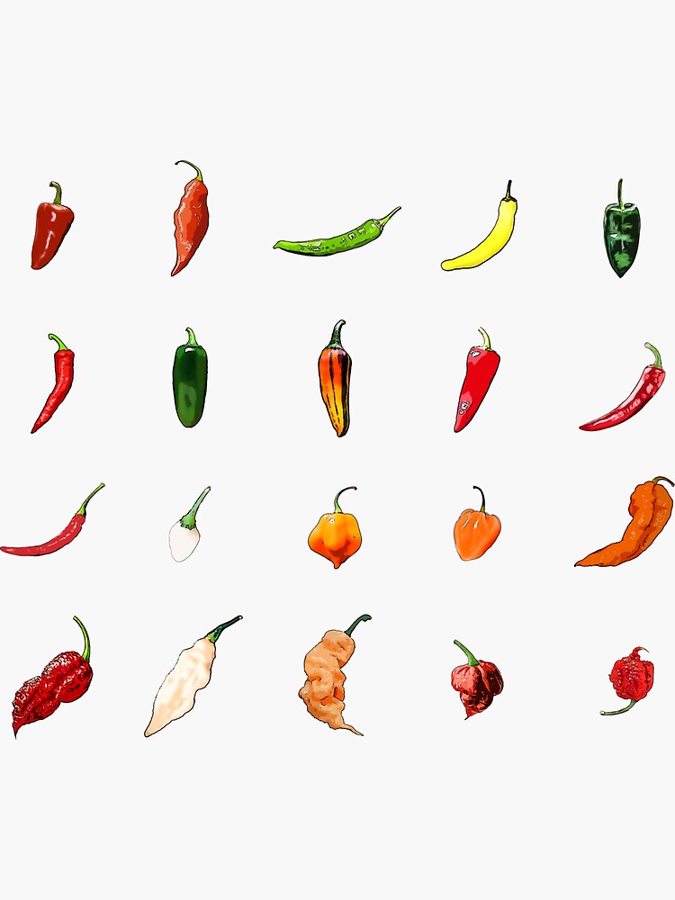 "Chili Peppers Stickers" Sticker for Sale by RedHotChiliClub | Redbubble