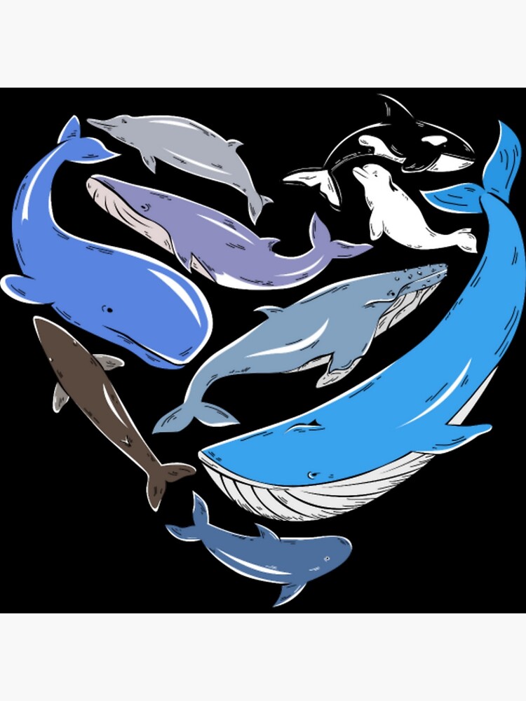 Póster «Diseño de corazón de especies de ballenas para amantes de las ...