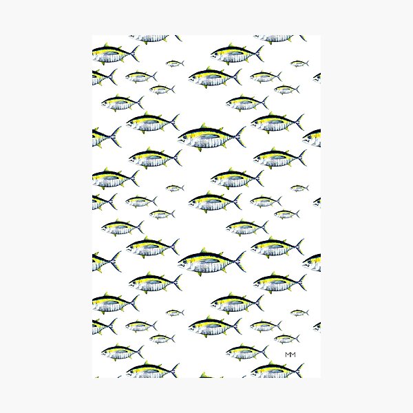 "Bigeye Tuna, Watercolor Illustration, Fish, Pattern, Repeat, School of ...