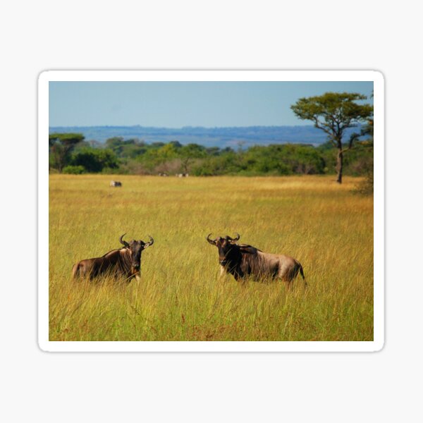 "Gnu Pair" Sticker for Sale by djcm1 | Redbubble