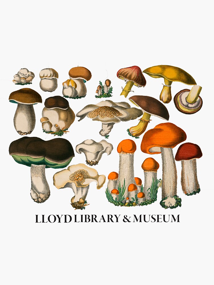 "Lloyd Library & Museum Mushrooms" Sticker for Sale by LloydLibrary ...