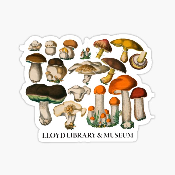 Lloyd Library & Museum Shop | Redbubble