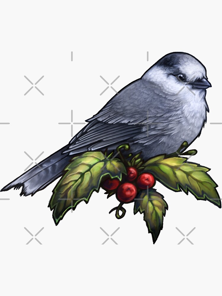 "Holiday Bird Canada Gray Jay" Sticker for Sale by CassWArt | Redbubble