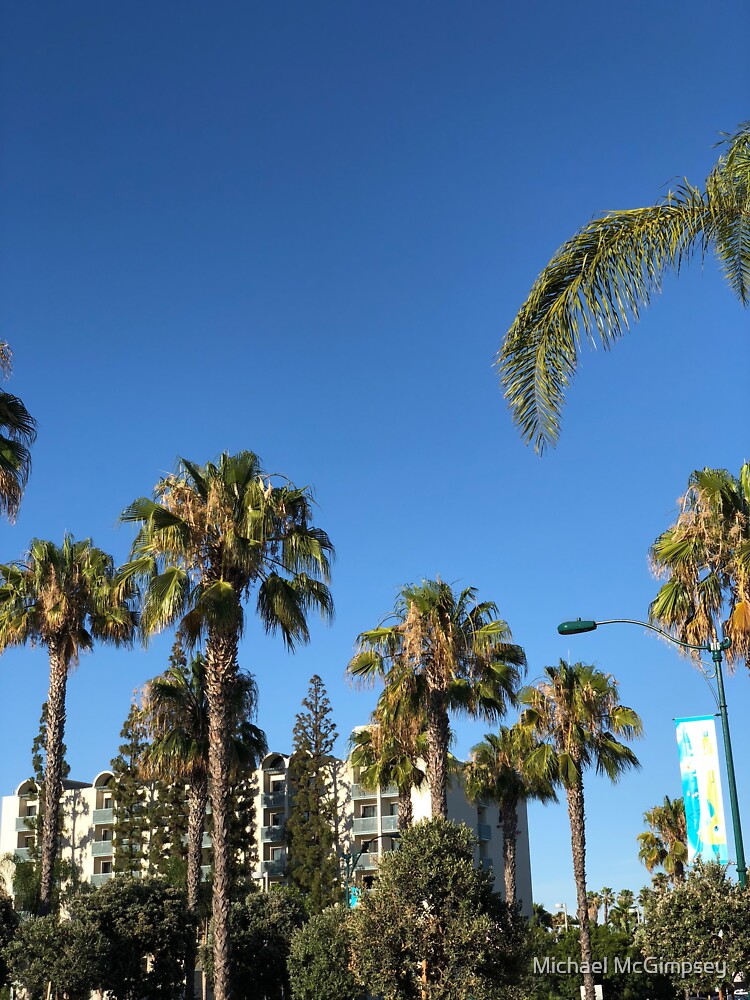 "Anaheim Palm Trees" Sticker for Sale by urbanfragments | Redbubble