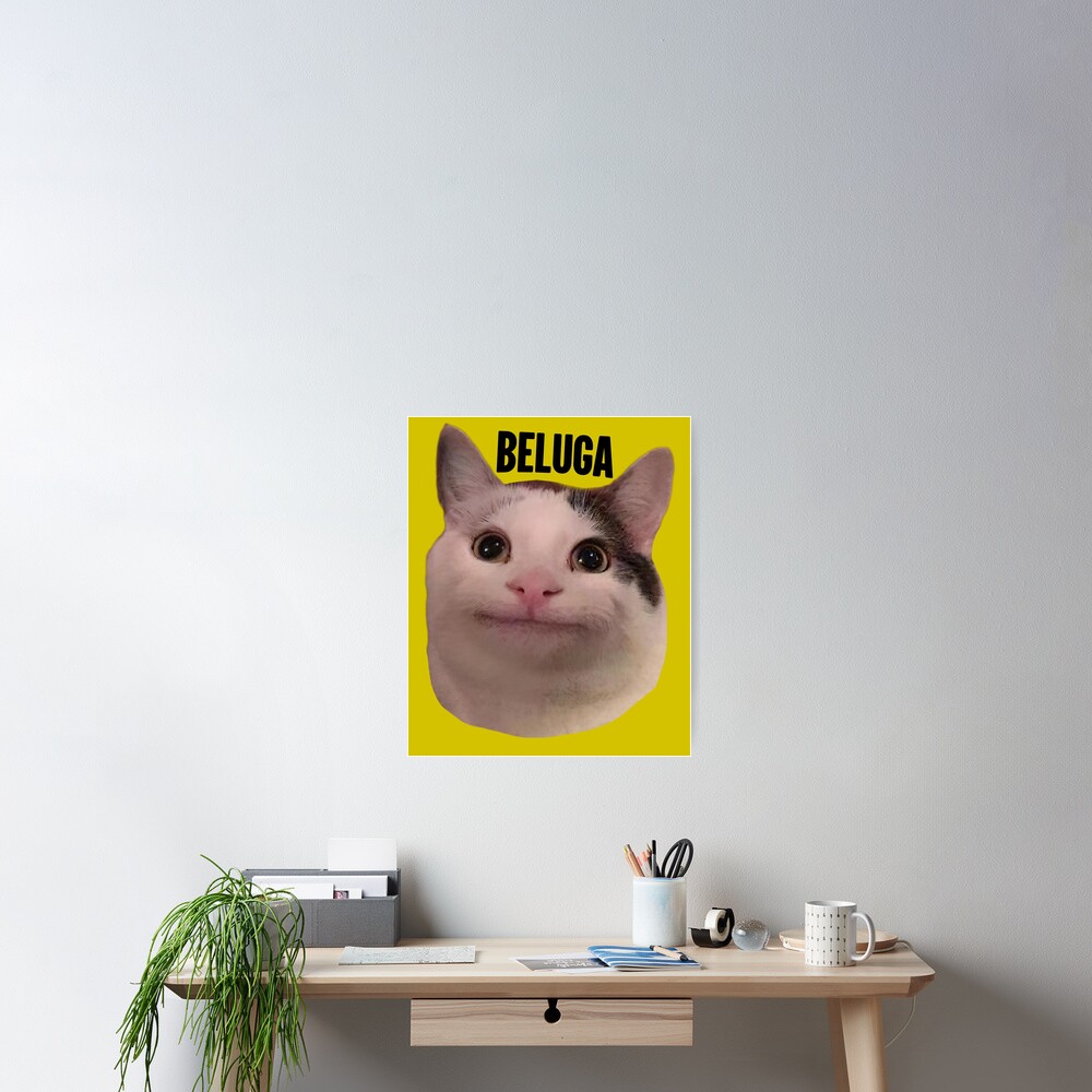"beluga cat discord pfp " Poster by stickiii | Redbubble