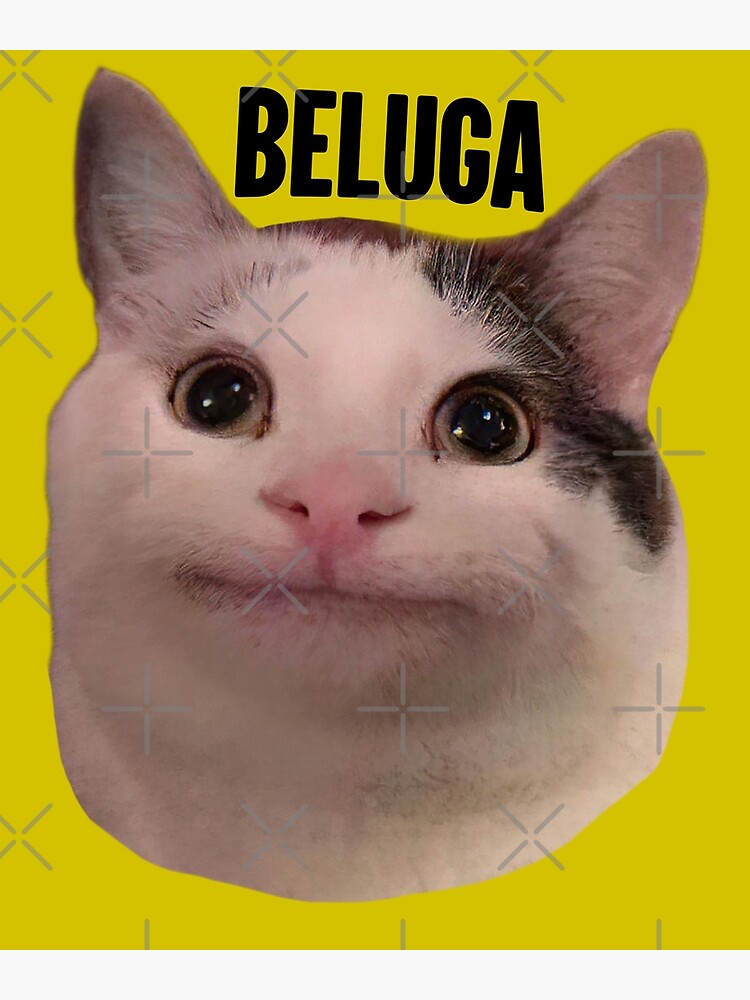 "beluga cat discord pfp " Poster by stickiii | Redbubble