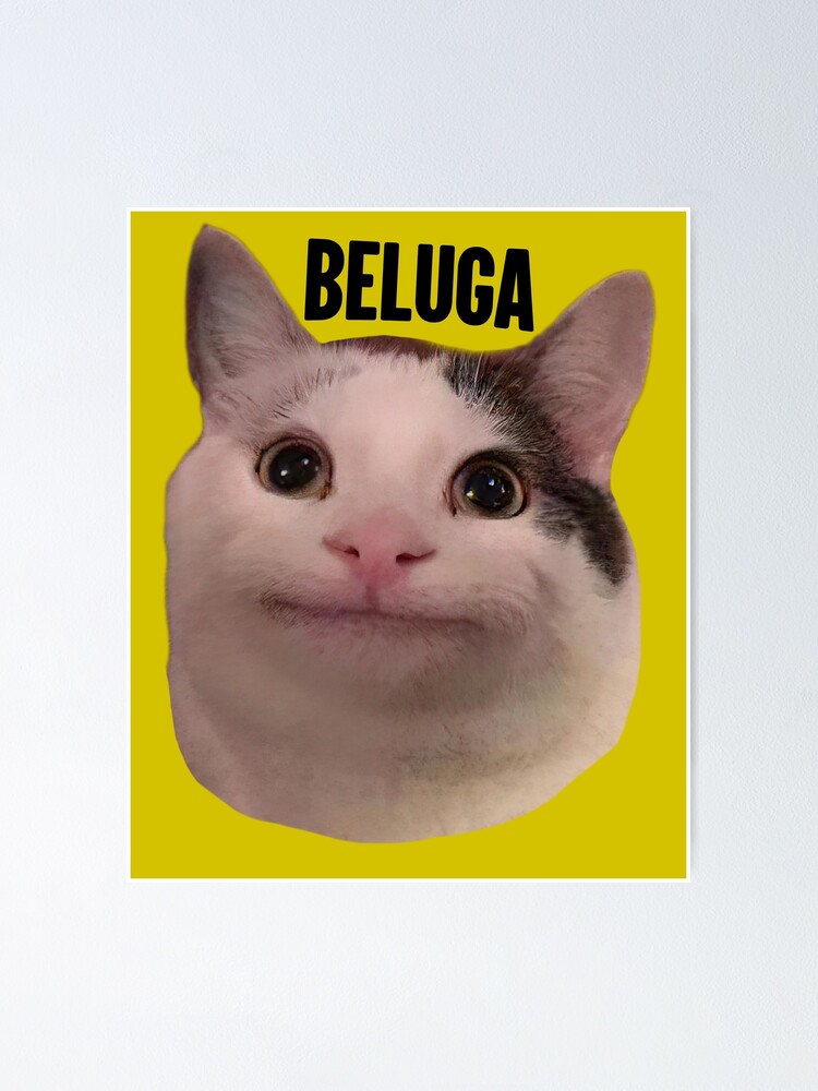 "beluga cat discord pfp " Poster by stickiii | Redbubble