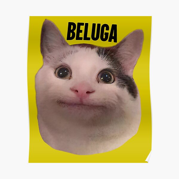 "beluga cat discord pfp " Poster by stickiii | Redbubble