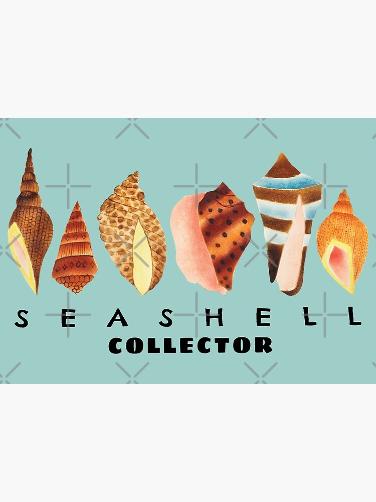"Classic Seashell Collector" Poster for Sale by KewaleeTee | Redbubble