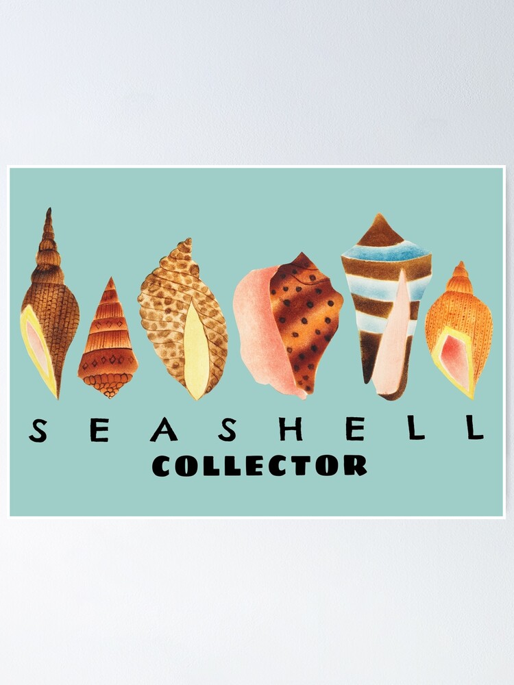 "Classic Seashell Collector" Poster for Sale by KewaleeTee | Redbubble