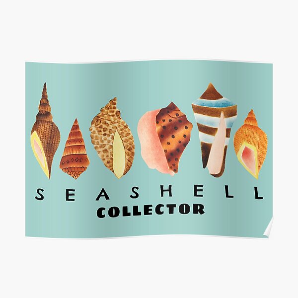 "Classic Seashell Collector" Poster for Sale by KewaleeTee | Redbubble