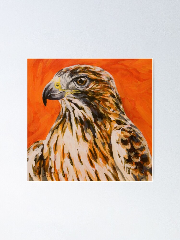 "Red-tailed Hawk Portrait" Poster for Sale by LauraWolfArtist | Redbubble