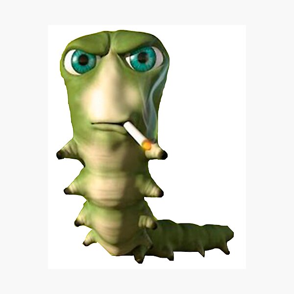 "caterpillar meme" Photographic Print by AsKartongs | Redbubble