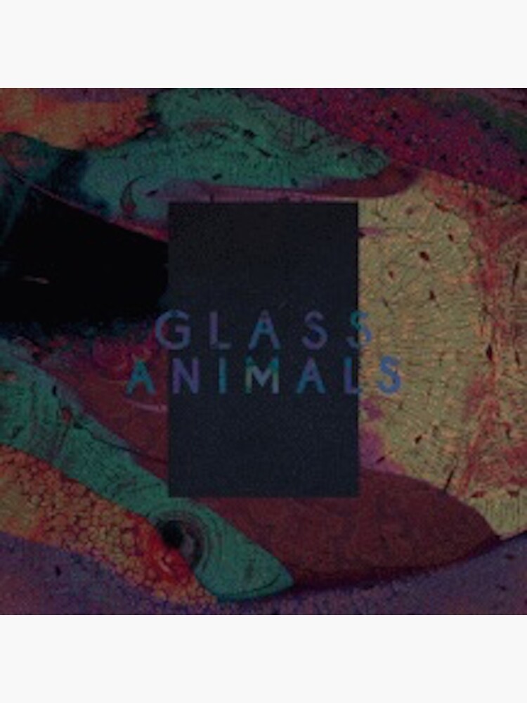 "Glass Animals " Sticker by spectrumcloths | Redbubble