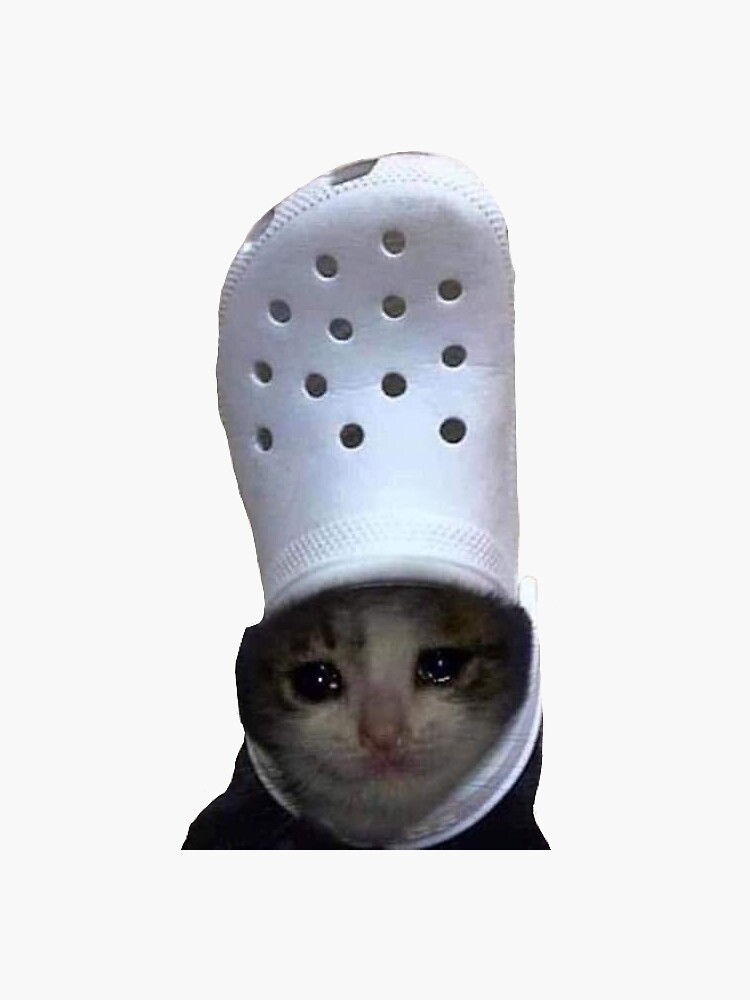 "Sad Cat Croc" Sticker by EggyNotFried | Redbubble